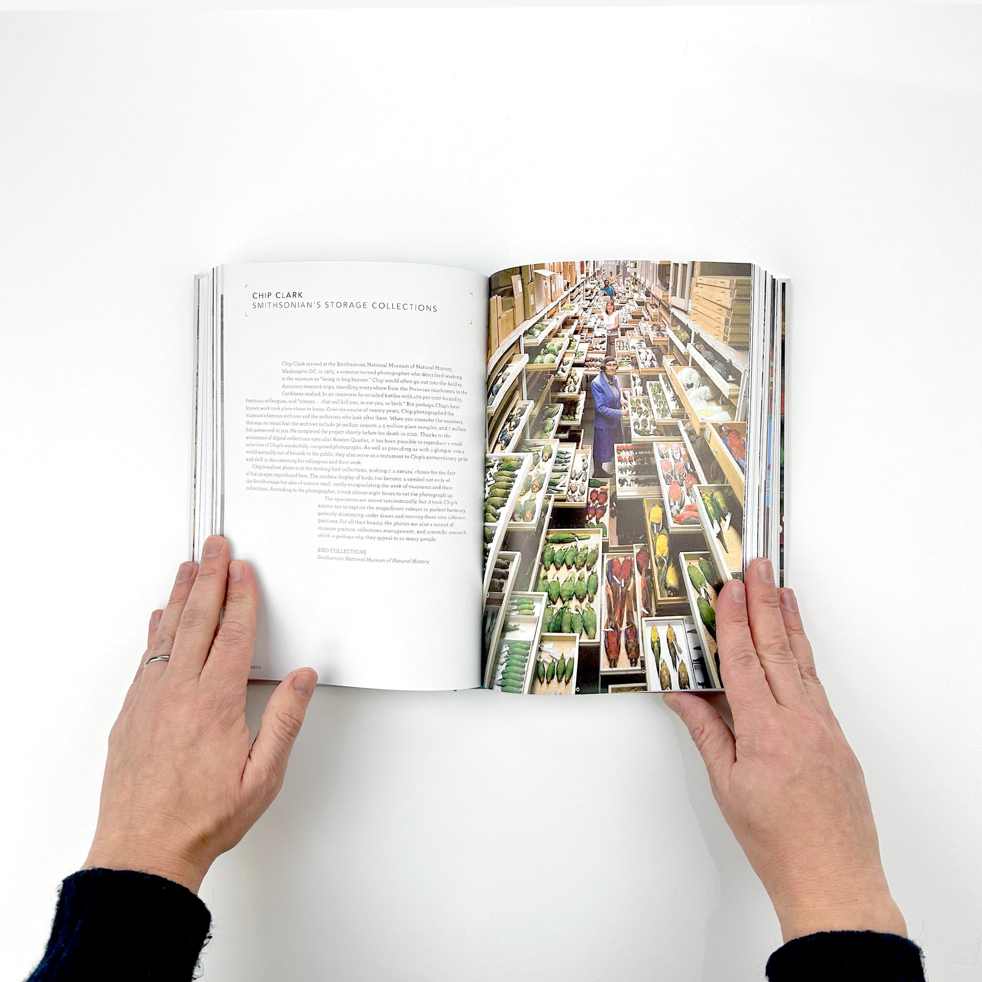 Out of the Box: A Celebration of Contemporary Box Art – Counterprint